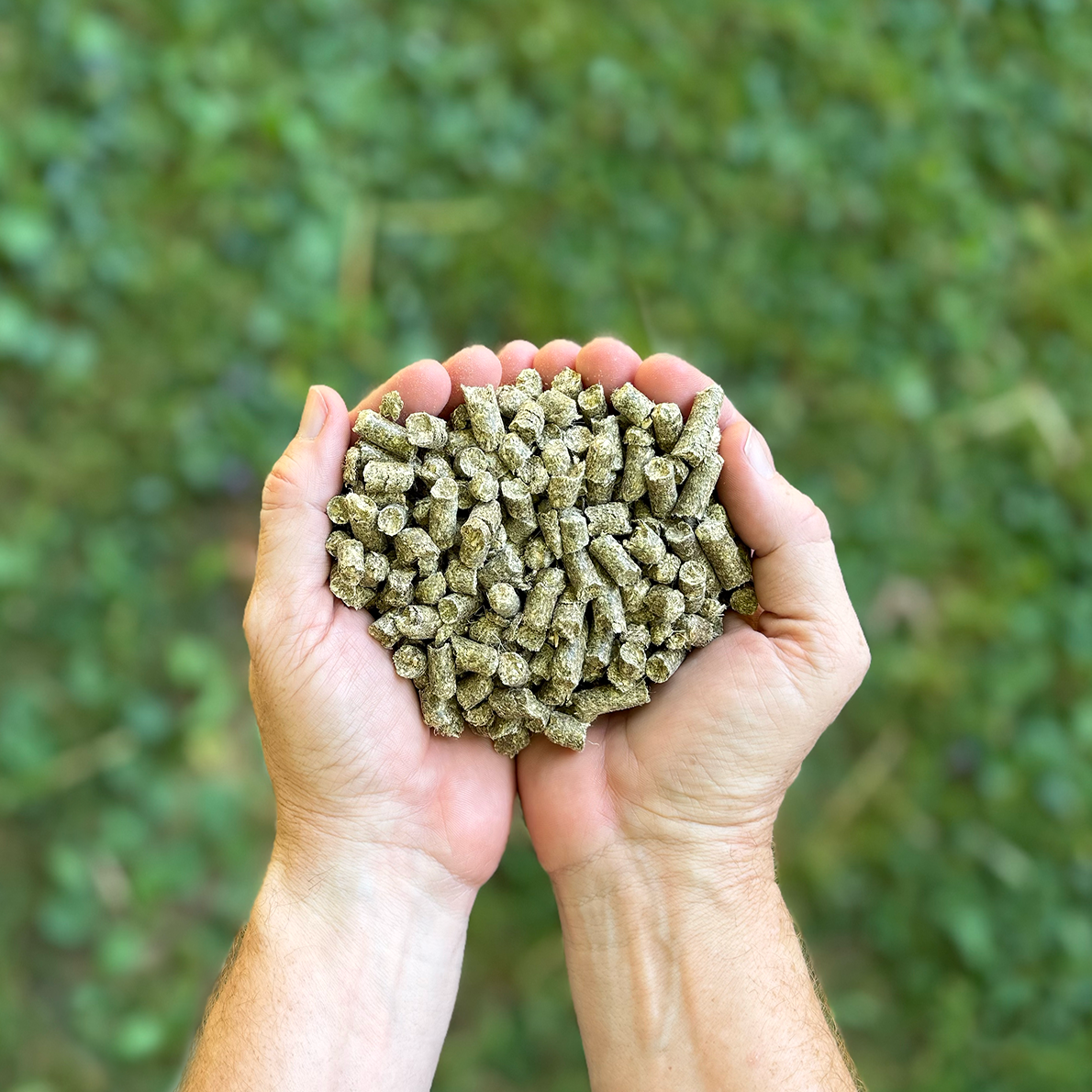 Carolina Coops Hemp Pellets: Eco-Friendly Bedding Solution