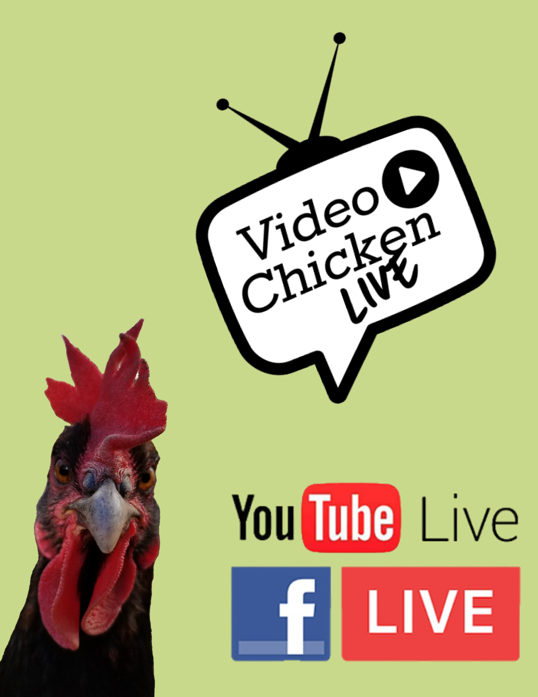 Live Chicken Podcast: Tips for Chicken Keepers | Carolina Coops