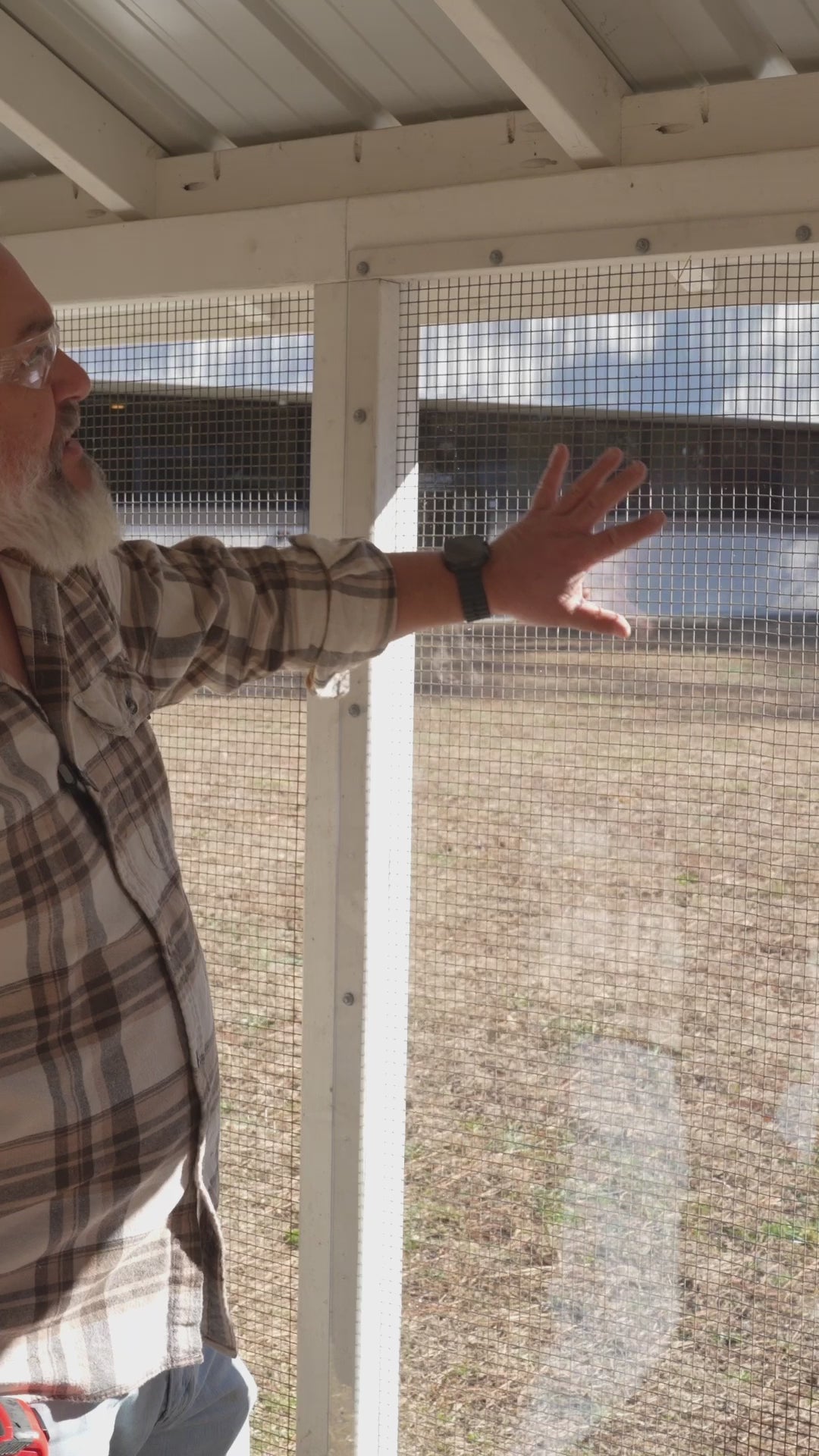 Carolina Coops Winter Storm Shields - Add-On